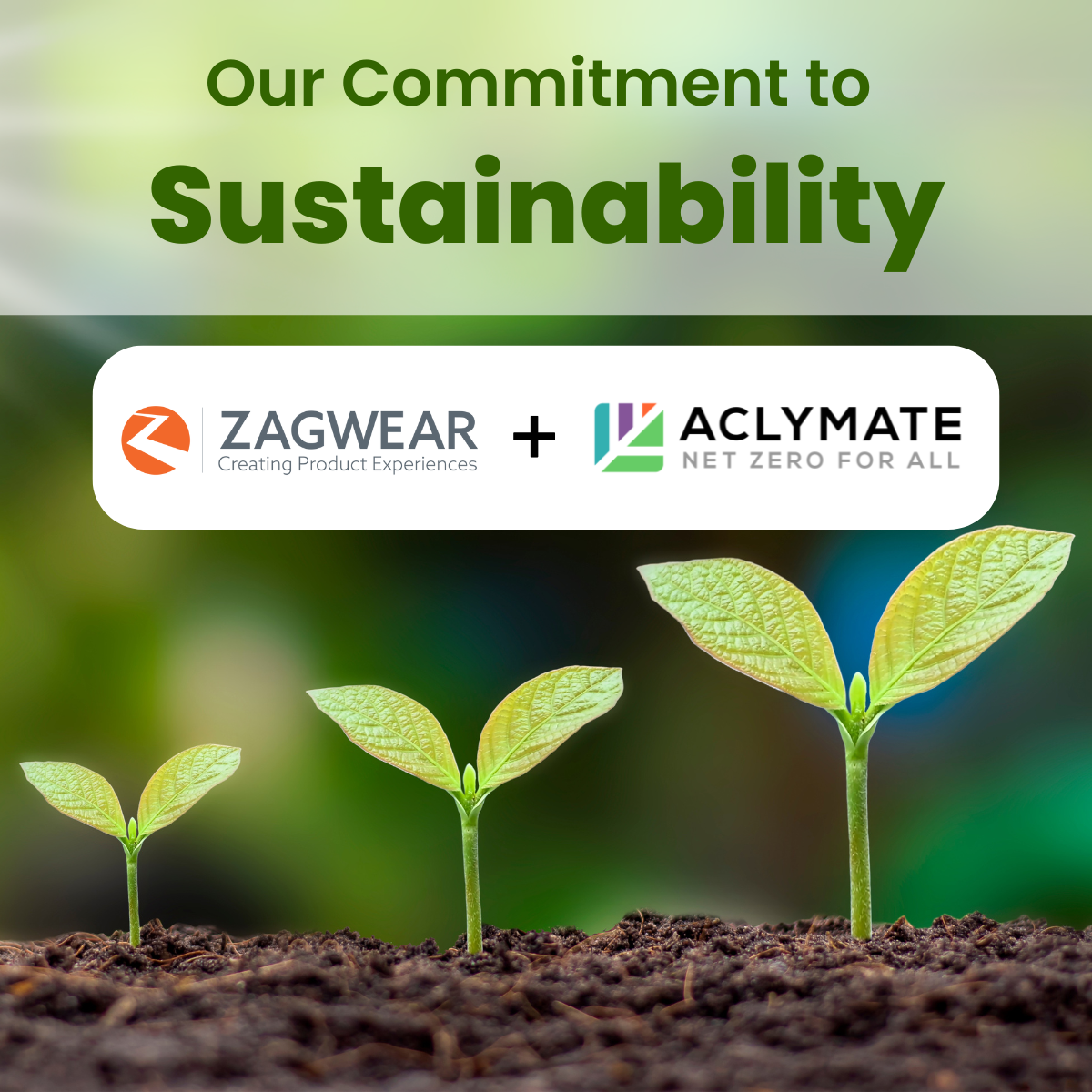 Zagwear's New Partnership with Aclymate Powers Sustainable Solutions